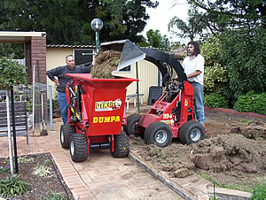 Welcome to Rent a Dingo | Dingo hire with free delivery to all suburbs ...